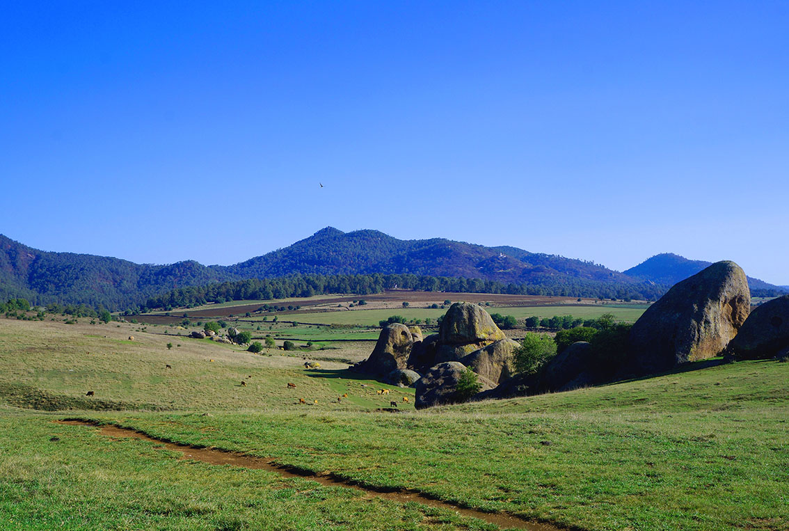 Descubre la experiencia Mazati y vive en contacto con la naturaleza